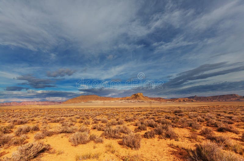 Prairie stock image. Image of idyll, wild, view, countryside - 81923879