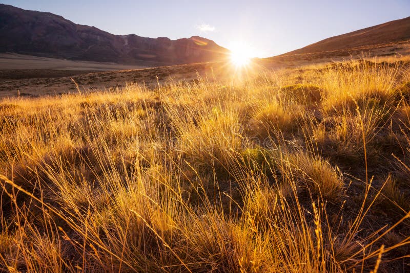 Prairie stock image. Image of prairie, desert, states - 148391477