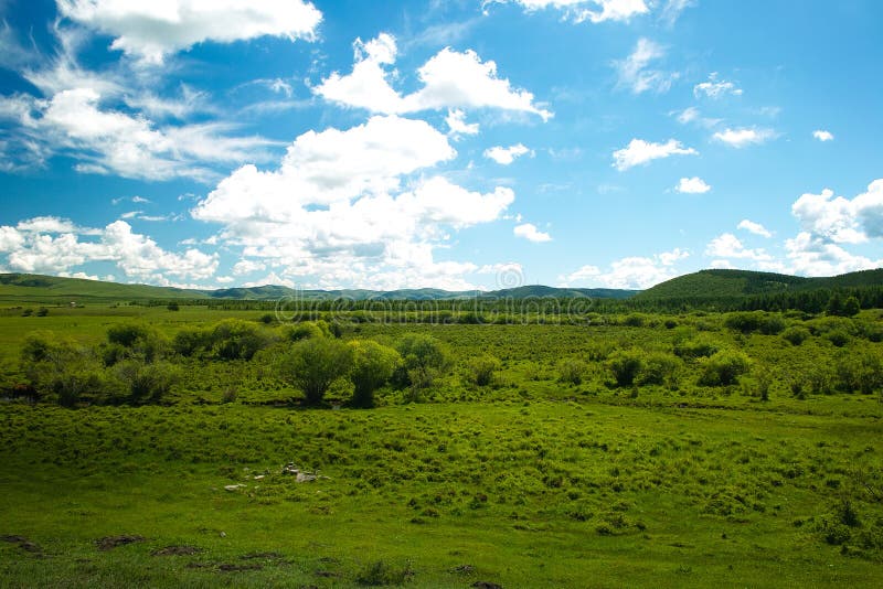Prairie stock image. Image of highway, cumulus, landscape - 34593361