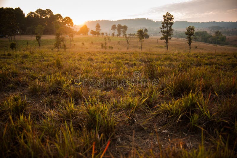 Prairie. stock image. Image of outdoor, environment, desert - 49775295