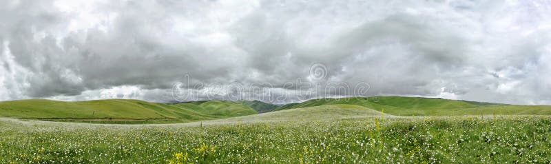 Prairie Panorama in Saskatchewan, Canada Stock Photo - Image of canola ...