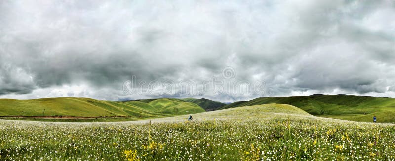 Prairie Panorama in Saskatchewan, Canada Stock Photo - Image of canola ...