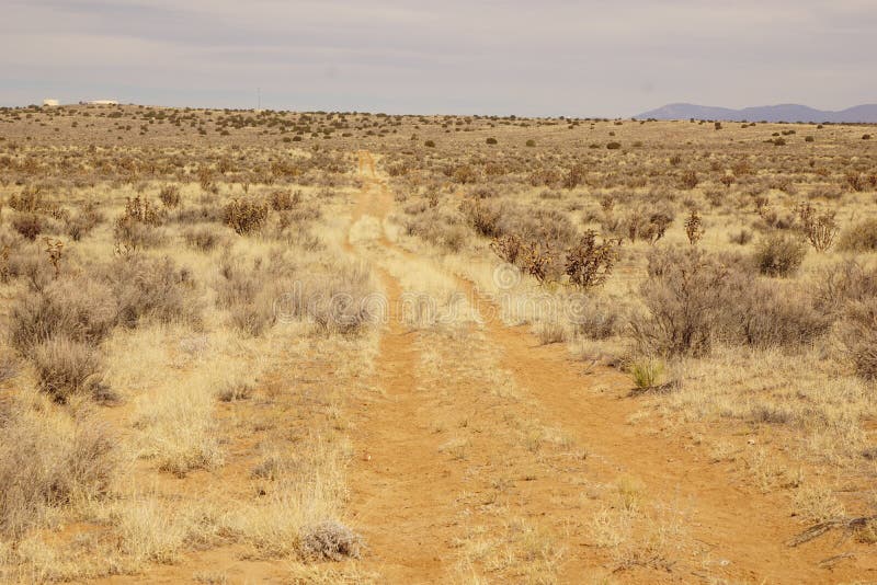 A Prairie Road in New Mexico Stock Photo - Image of vast, outdoors ...