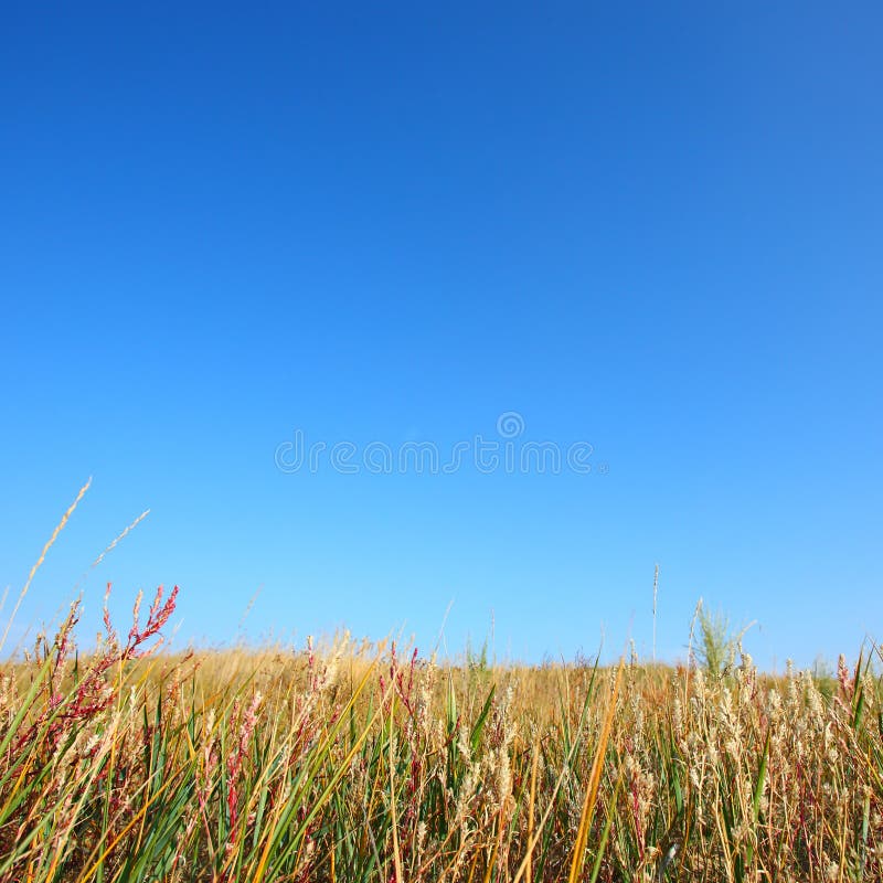 Prairie and Sky Backgrounds Stock Image - Image of blue, color: 20999835
