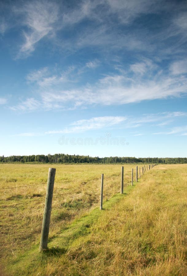 Prairie Sky stock image. Image of summer, green, field - 6594383