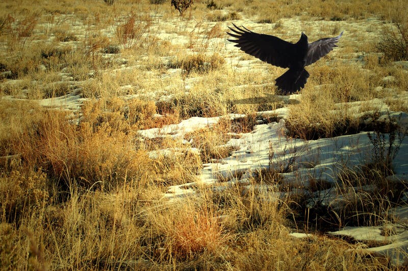 Prairie Snow stock photo. Image of southwest, wintery - 3983106