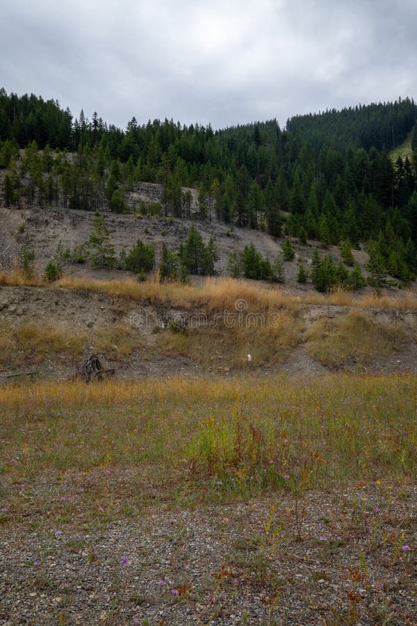 Prairie dog in the desert stock image. Image of ground - 27573337