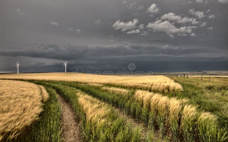 Prairie Wind Farm stock photo. Image of turbine, environmental - 150155672