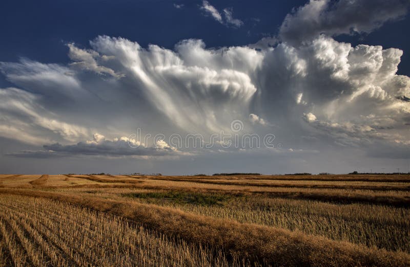 Prairie Storm Clouds stock image. Image of natural, prairie - 126445539
