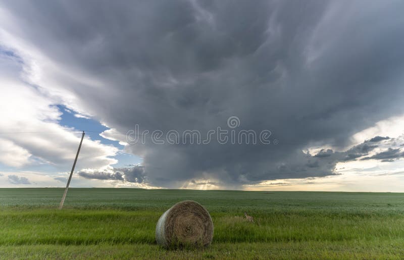 Prairie Storm Clouds stock image. Image of landscape - 269772765