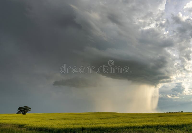 Prairie Storm Clouds stock image. Image of countryside - 269772829