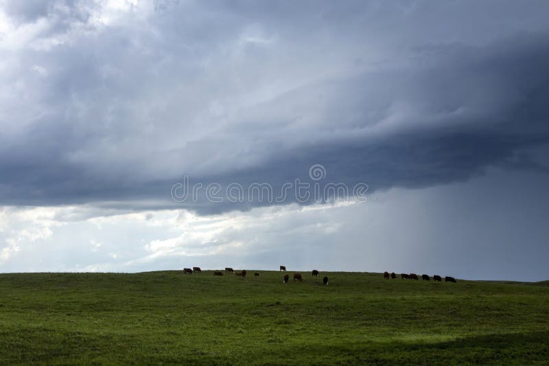 Prairie Storm Clouds stock image. Image of great, stormy - 269773131