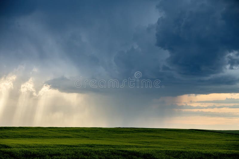 Prairie Storm Clouds stock photo. Image of prairie, nature - 269773190
