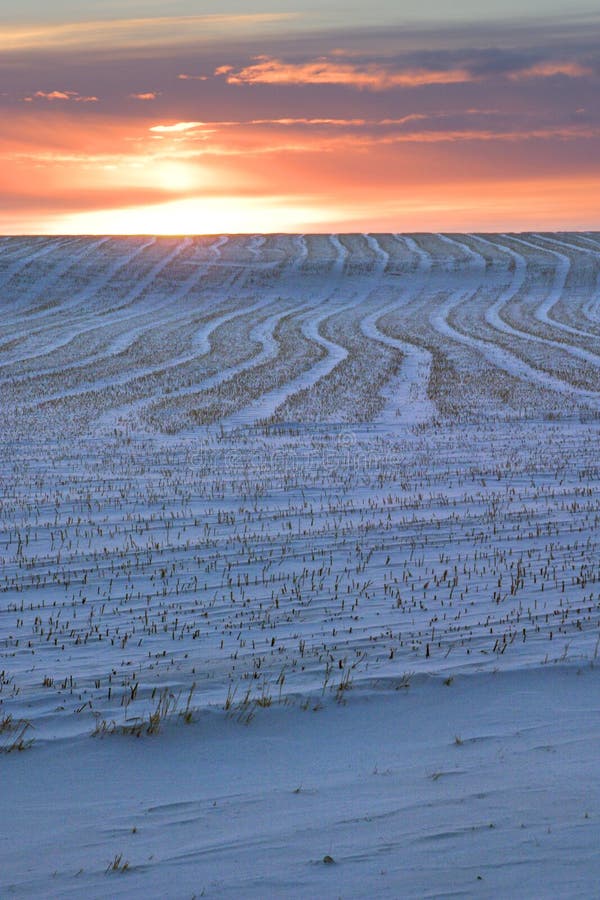 Prairie Sunrise stock photo. Image of morning, sunrise - 120900