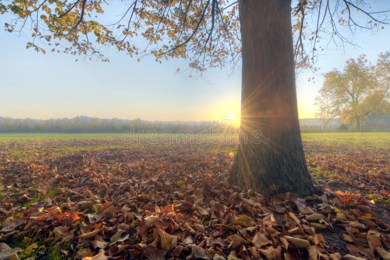 Prairie sunrise stock image. Image of spring, forest - 23880211
