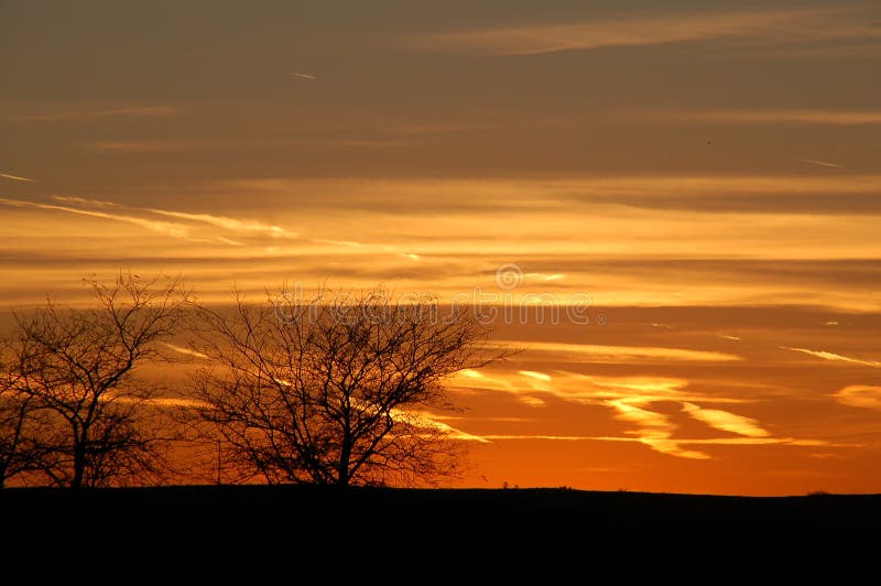 South Texas Sunset stock photo. Image of country, tree - 3404580