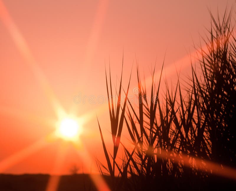 Prairie Sunset stock photo. Image of sunset, golden, sparkle - 16230498