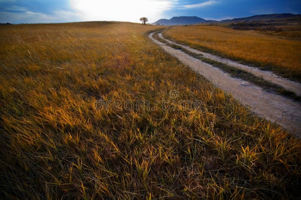Prairie trail stock photo. Image of prairie, trees, mongolia - 41024440