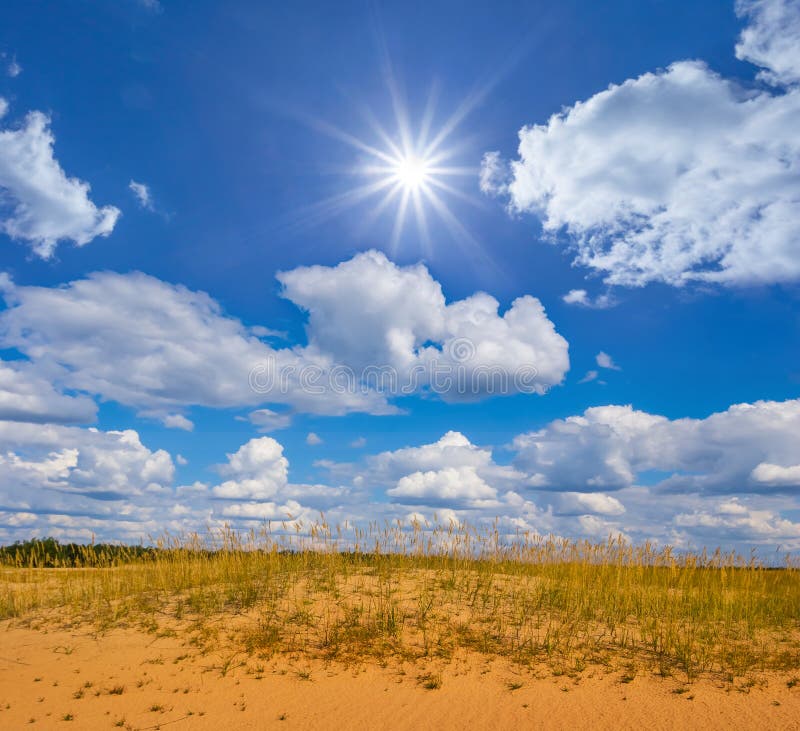 Prairie Under a Sparkle Sun Stock Image - Image of steppe, outdoor ...