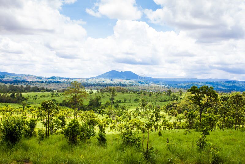 Prairie stock photo. Image of country, landscape, road - 55490276