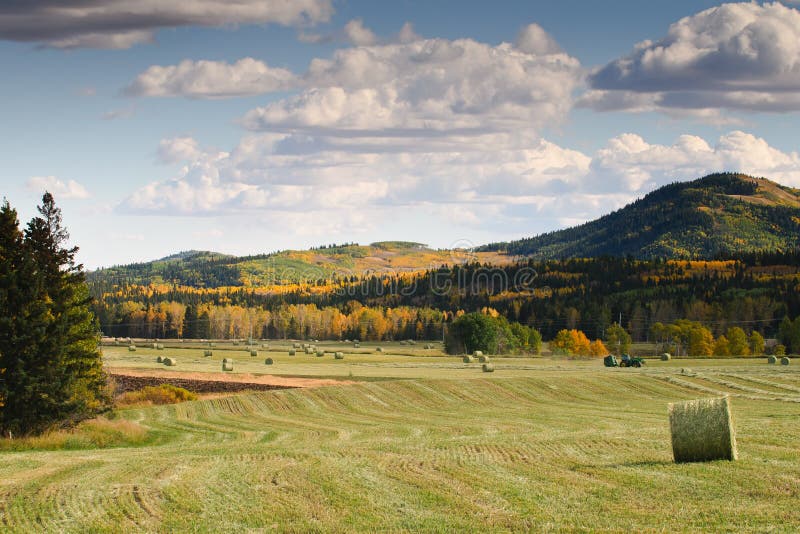 Prairie Views stock image. Image of canada, bale, harvest - 22111455