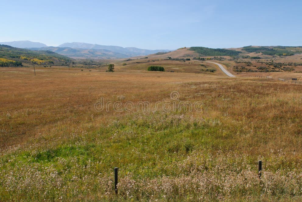 Prairie Views stock photo. Image of harvest, golden, crop - 28053810