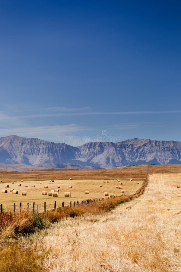 Prairie Views stock photo. Image of feed, plain, agriculture - 28053846