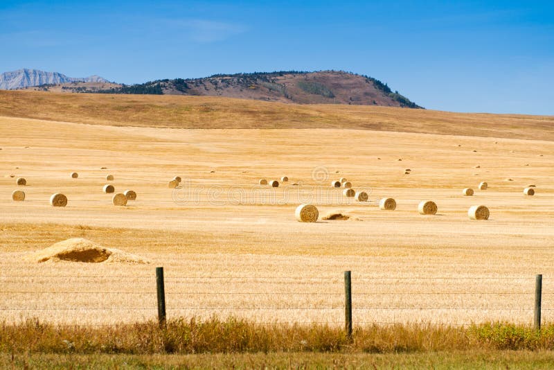 Prairie Views stock image. Image of natural, plain, pasture - 28623907