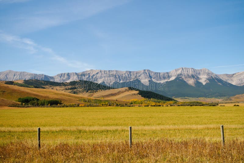 Prairie Views stock photo. Image of harvest, golden, crop - 28053810