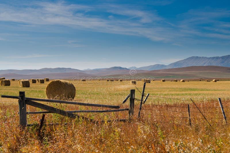 Prairie Views stock image. Image of outdoor, beauty, harvest - 28912155