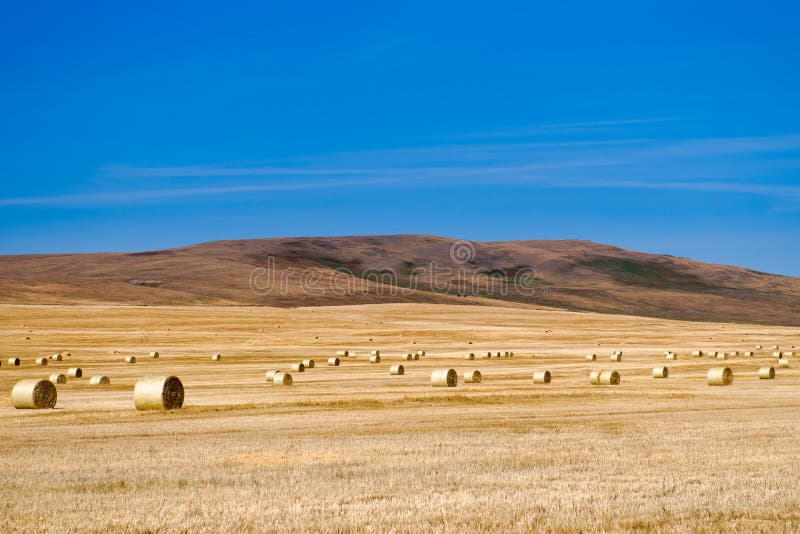 Prairie Views stock image. Image of plant, agriculture - 28912179