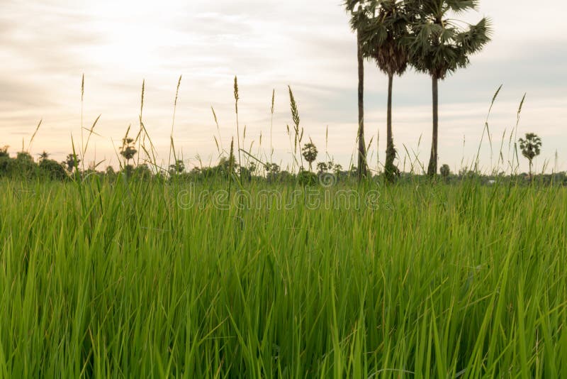 Prairie Wind Landmark in Saskatoon, Canada Stock Image - Image of ...