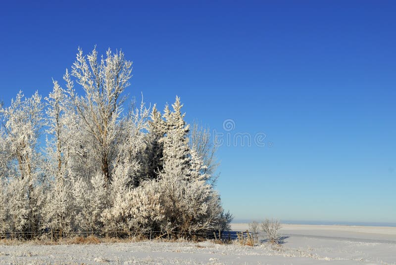 Prairie Winter Landscape stock image. Image of tree, landscape - 3967393