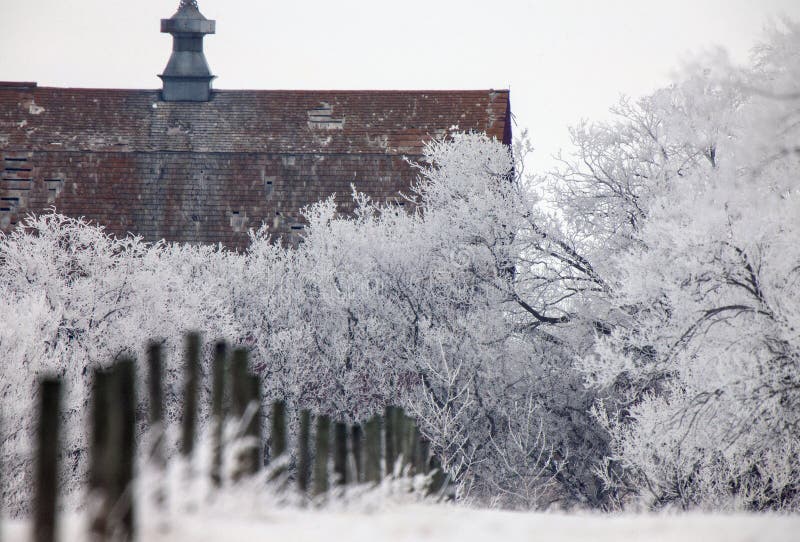 Prairie Winter Scene stock photo. Image of blue, scenic - 211705860
