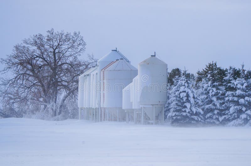 Prairie Winter Scenes stock photo. Image of blizzard - 269771426