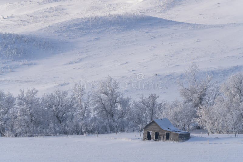 Prairie Winter Scenes stock image. Image of cloudscape - 269771579