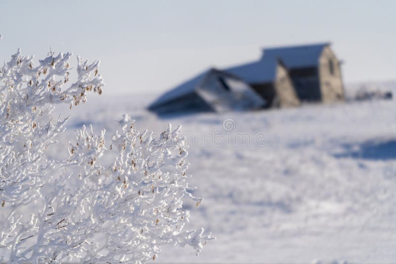 Prairie Winter Scenes stock image. Image of cumulus - 269771651