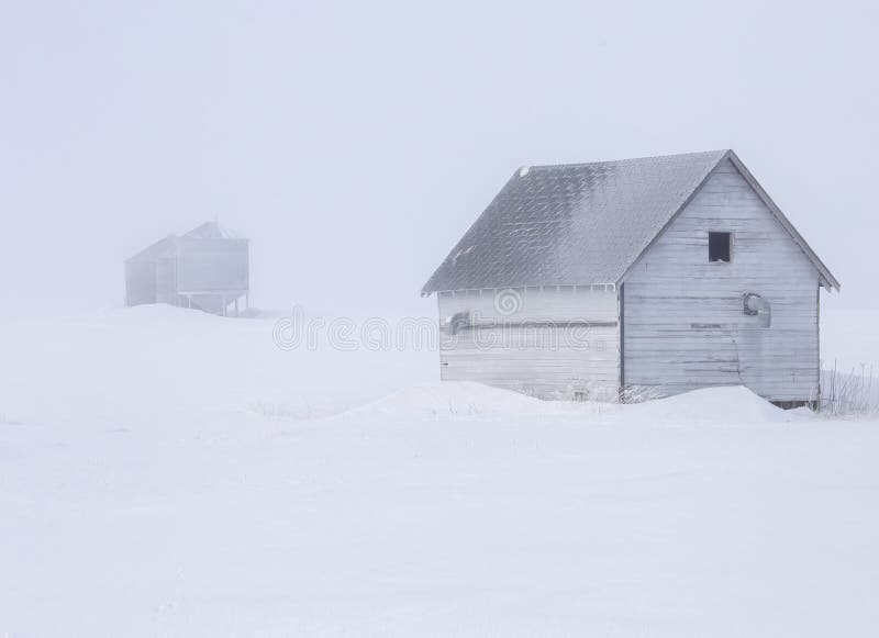 Prairie Winter Scenes stock photo. Image of blizzard - 269771680
