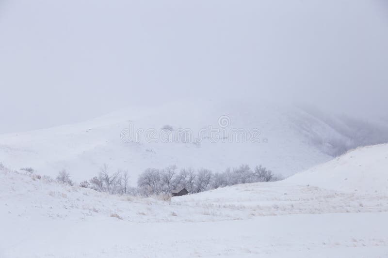 Prairie Winter Scenes stock photo. Image of relax, landscape - 269771684