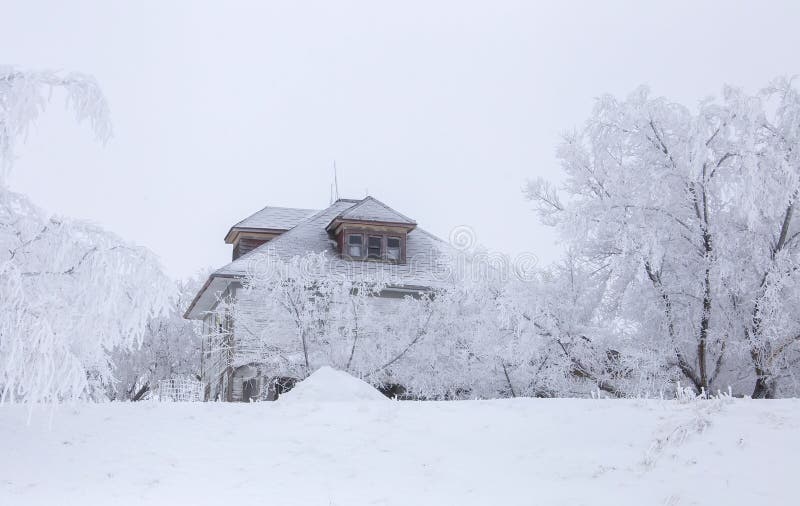 Prairie Winter Scenes stock image. Image of amazing - 269771731