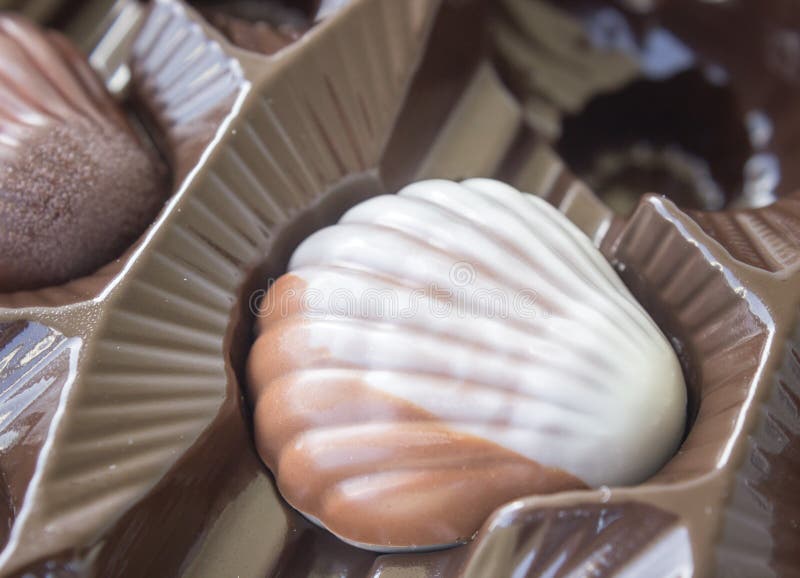 Praline Box stock photo. Image of food, cream, cocoa - 60659780