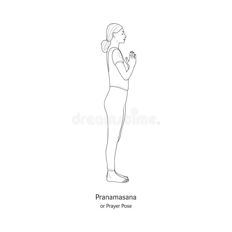 Pranamasana or Prayer Pose. Vector Stock Vector - Illustration of class ...