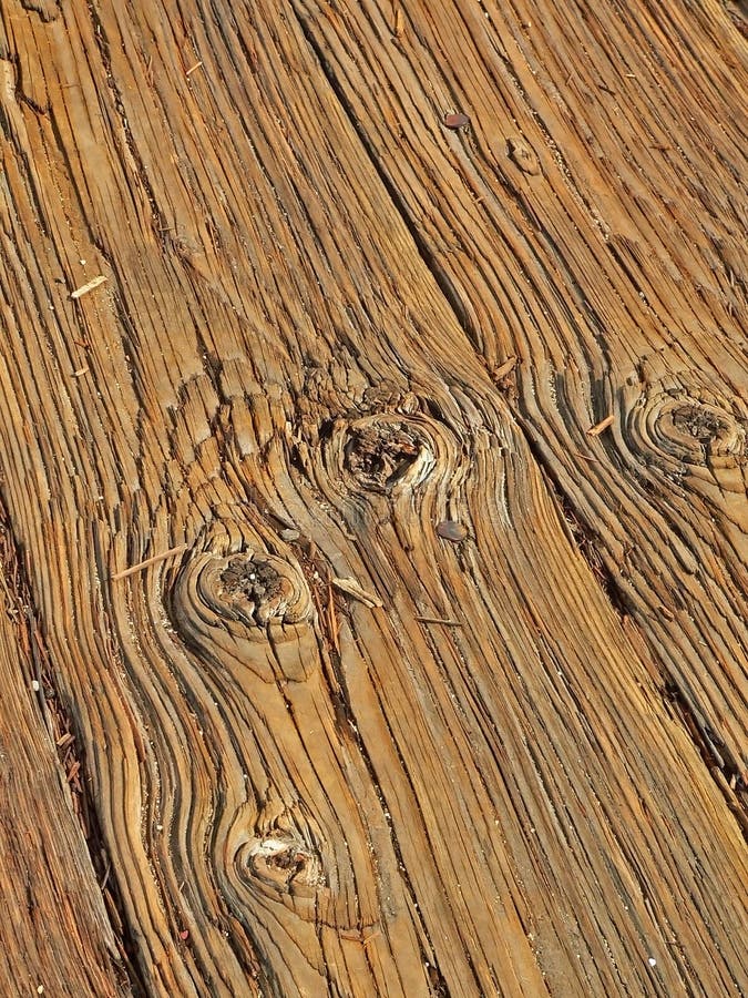 Corte Tangencial Europeu Da Madeira De Carvalho Foto de Stock - Imagem ...