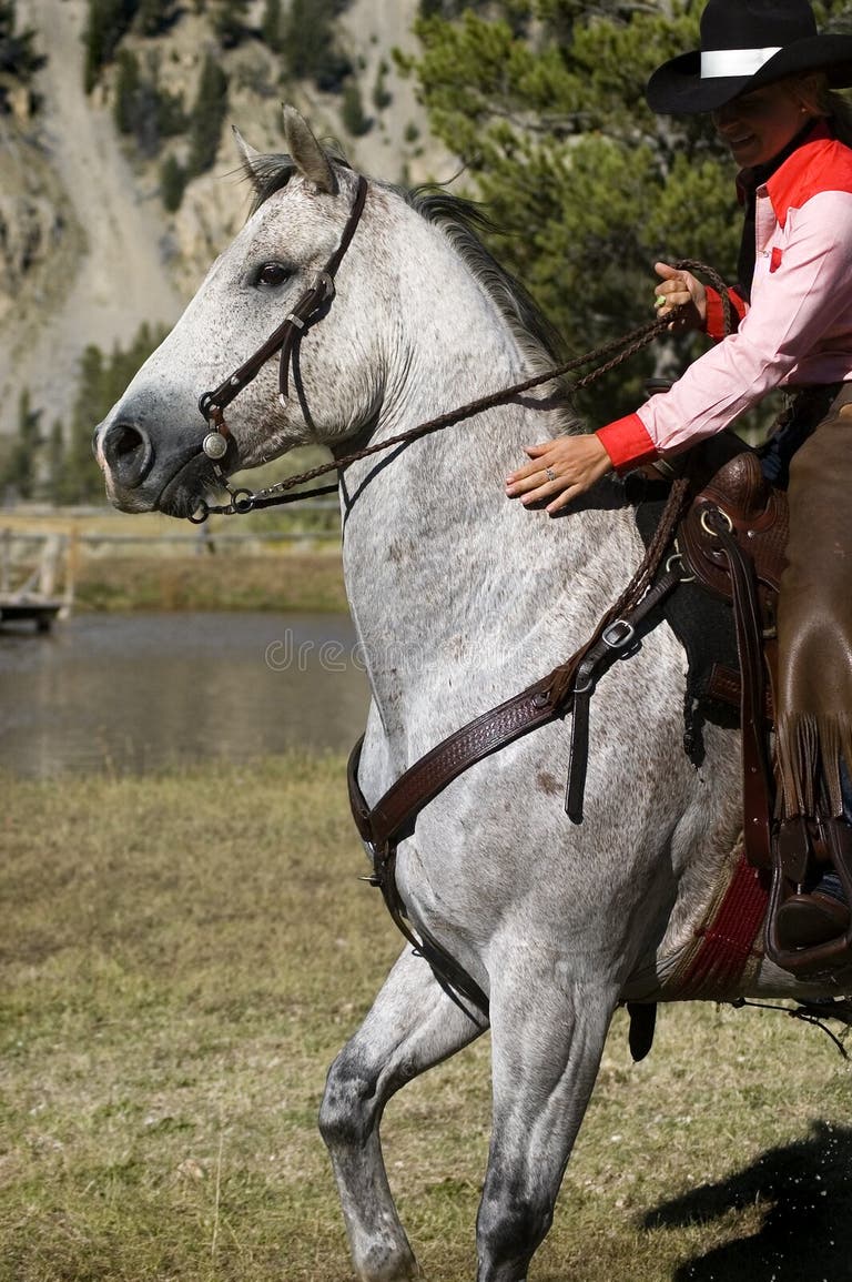 1,625 Prancing Horse Stock Photos - Free & Royalty-Free Stock Photos ...