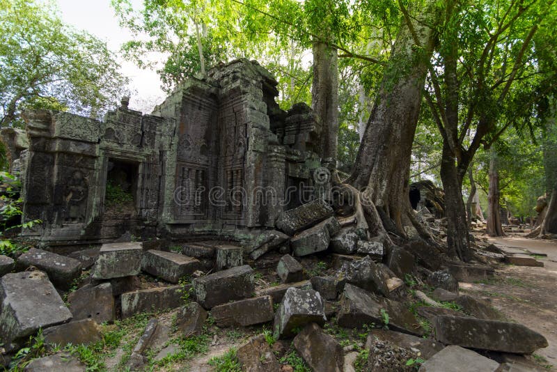 Prasat TA Prum Ruins. foto de archivo. Imagen de paisaje - 39972764