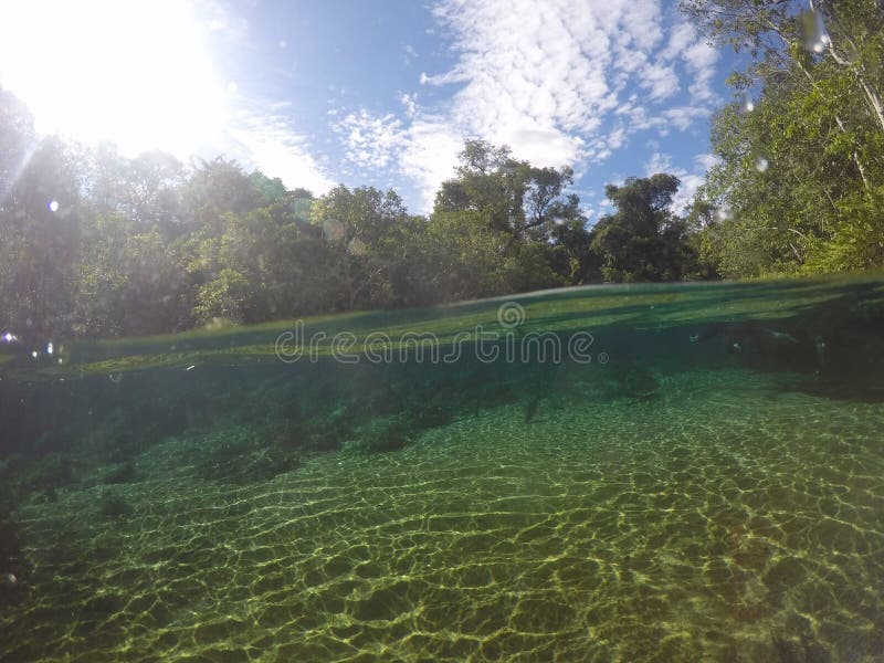 Bonito - Brazil stock photo. Image of river, brazil - 183341662