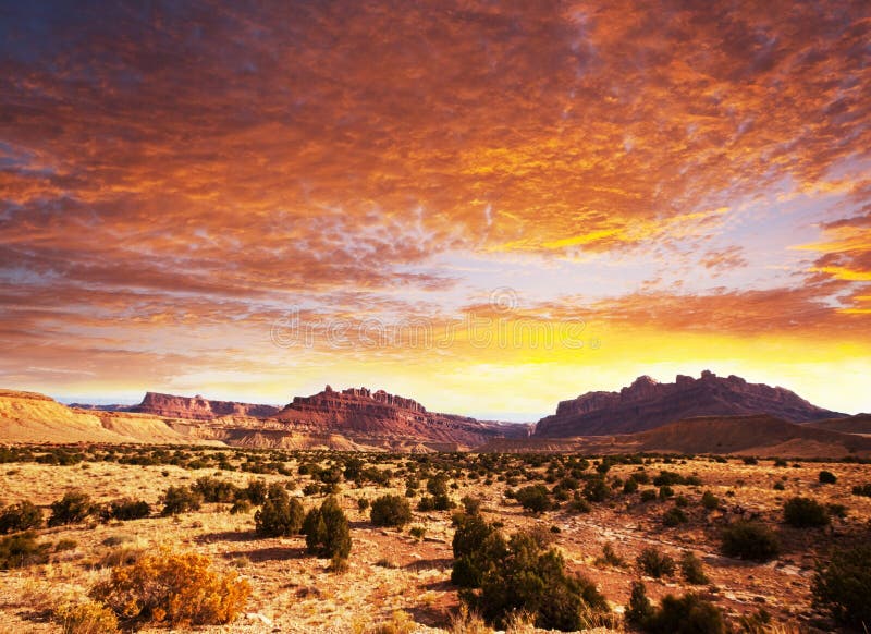 Prateria americana fotografia stock. Immagine di rosso - 66072774
