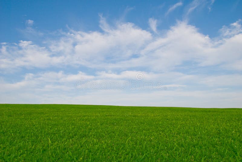 Prato E Cielo Blu Dell'erba Fotografia Stock - Immagine di scena, bello ...