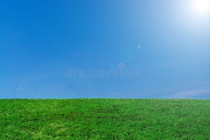 Prato Verde Ed Il Cielo Blu Fotografia Stock - Immagine di orizzonte ...