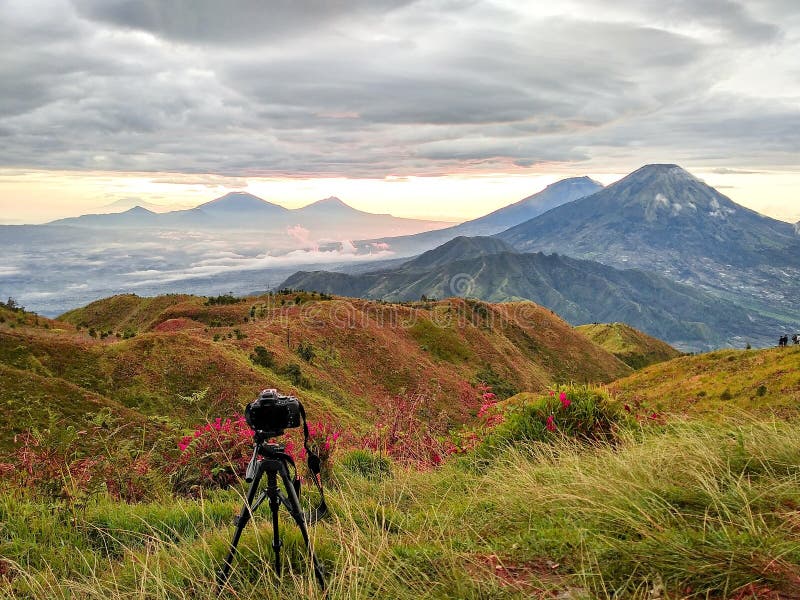 Prau stock photo. Image of nature, landscape, mountain - 95442376